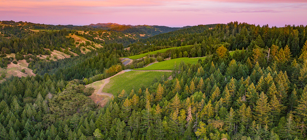 Flowers February 2026 Release - Flowers Vineyards & Winery